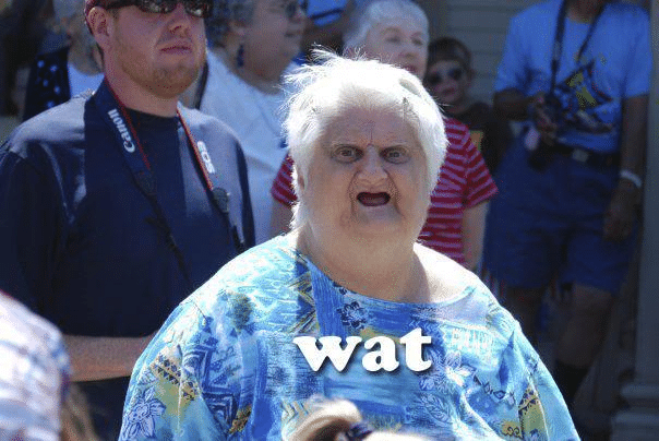 Meme Generator - WAT (old woman) - Newfa Stuff
