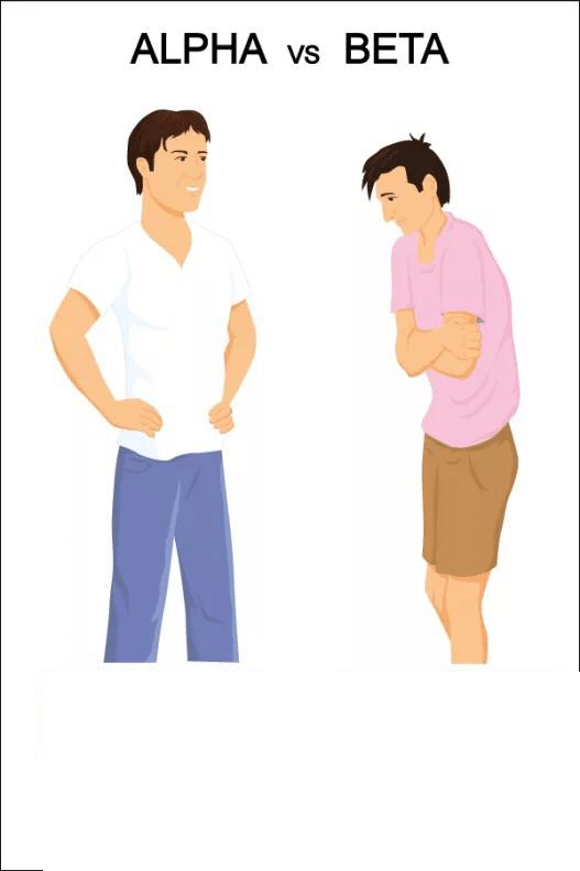Meme Generator - Alpha vs. Beta - Newfa Stuff