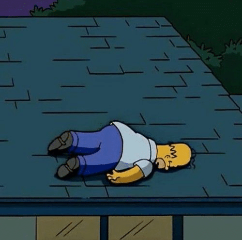 Meme Generator - Homer passed out on roof - Newfa Stuff