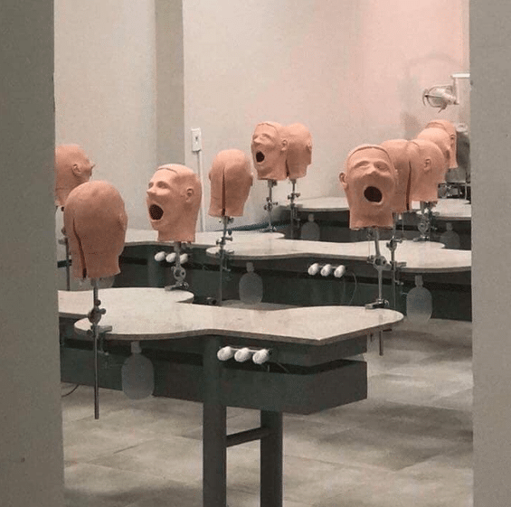 Meme Generator - Face models screaming - Newfa Stuff Meme Generator - Face models screaming - Newfa Stuff
