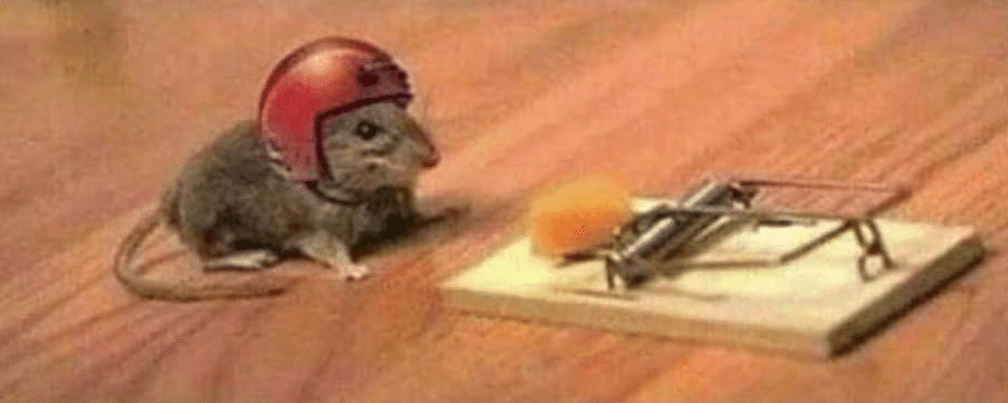 Meme Generator - Mouse trap - Newfa Stuff
