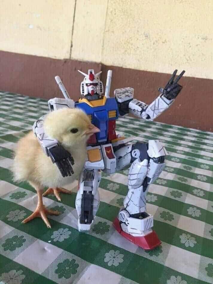 Meme Generator - Transformer hugging chick. - Newfa Stuff