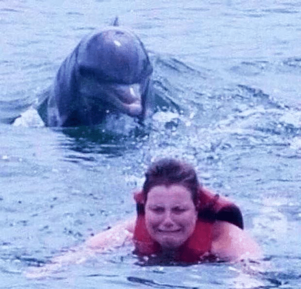 Meme Generator - Dolphin Chasing Woman - Newfa Stuff