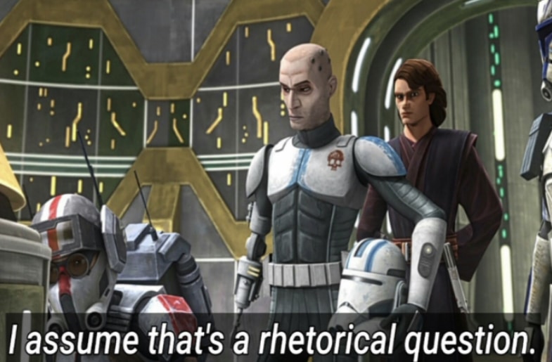 Meme Generator - I assume that's a rhetorical question - Newfa Stuff