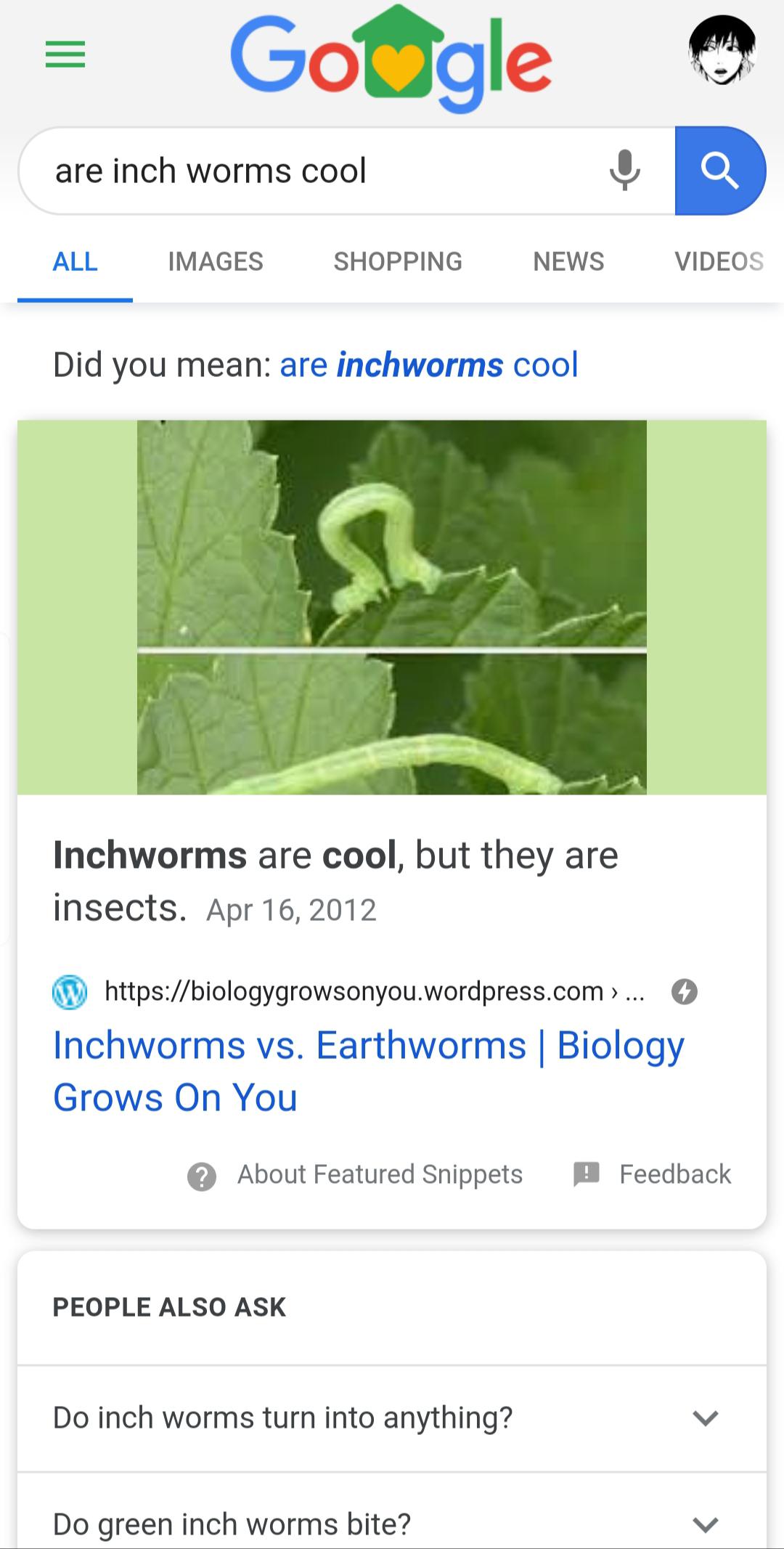 Submission: Inchworm is a bug. - Newfa Stuff