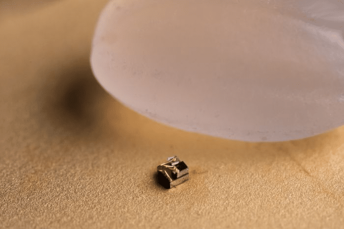 Meme Generator - Smaller than a grain of rice (alt) - Newfa Stuff