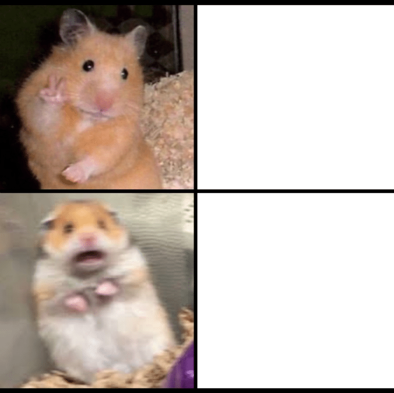 Meme Generator - Hamster calm then scared - Newfa Stuff