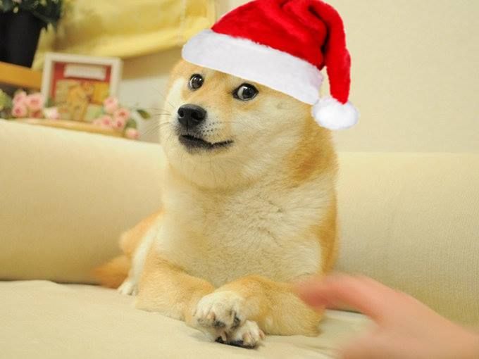 Meme Generator - Santa Doge - Newfa Stuff